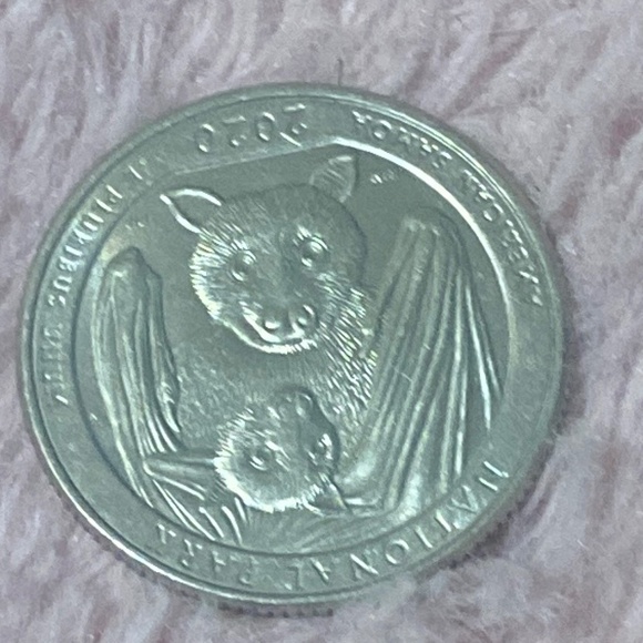 Other | Exotic Bat Quarter Wort 150500 | Poshmark